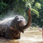 Agra: Taj Mahal, Fort & Elephant Sanctuary Private Tour - Beyond the Sights: What You’ll Take Away