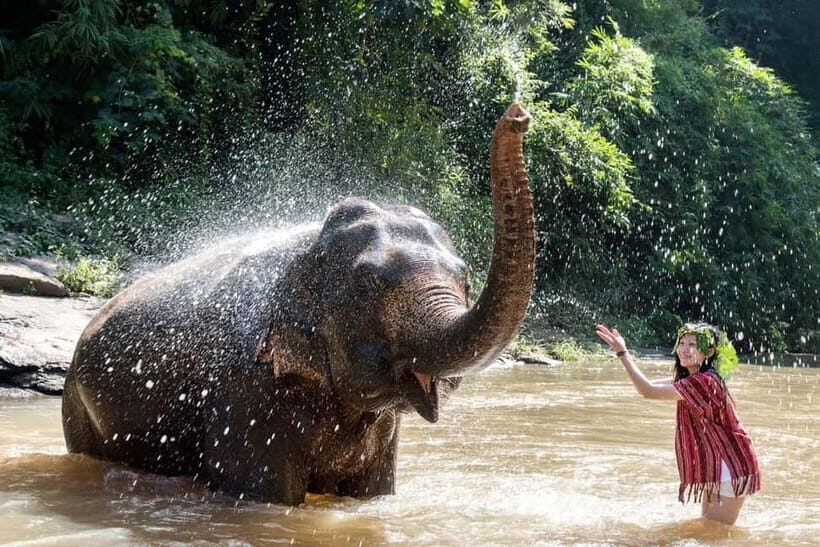 Agra: Taj Mahal, Fort & Elephant Sanctuary Private Tour - Beyond the Sights: What You’ll Take Away