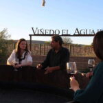 Aguascalientes: Enotourism Tour - Analyzing the Value