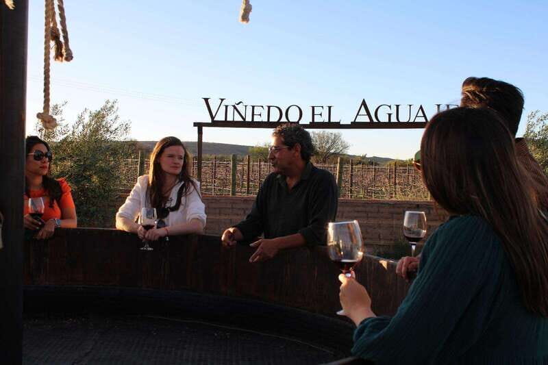 Aguascalientes: Enotourism Tour - Analyzing the Value