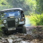 Ahangama: Udawalawe National Park Safari with Hotel Pickup - The Itinerary Breakdown