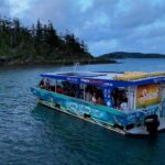 Airlie Beach Glass Bottom Boat Guided Night Tour - Analyzing the Value