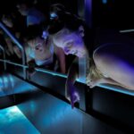 Airlie Beach: Glass-Bottom Boat Night Tour - The Experience and Its Value