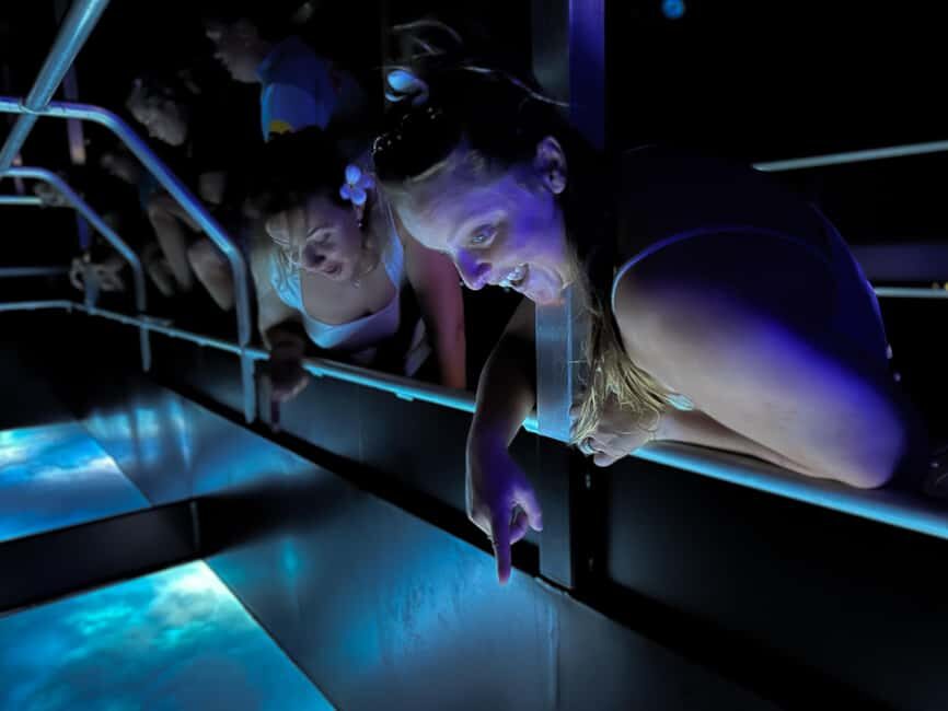 Airlie Beach: Glass-Bottom Boat Night Tour - The Experience and Its Value