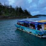 Airlie Beach: Glass-Bottom Boat Tour - The Experience: What to Expect from Start to Finish