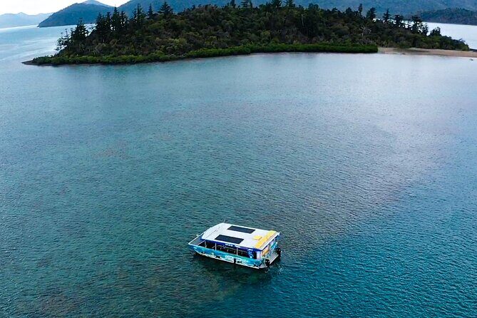 Airlie Beach Glass Bottom Boat Tour - Final Thoughts: Is It Worth It?