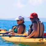 Airlie Beach: Half Day Turtle Tour Sea Kayaking Adventure - Exploring the Tour in Detail