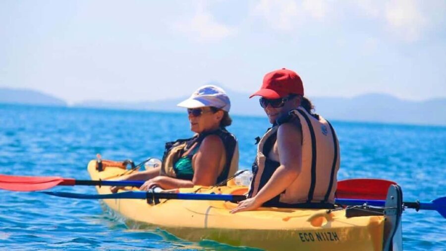 Airlie Beach: Half Day Turtle Tour Sea Kayaking Adventure - Exploring the Tour in Detail