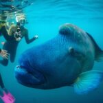 Airlie Beach- Private full day catered & crewed yacht charter - Activities & Onboard Amenities