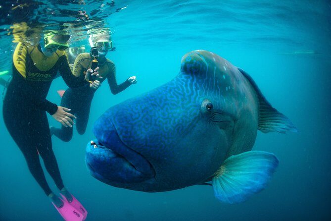 Airlie Beach- Private full day catered & crewed yacht charter - Activities & Onboard Amenities