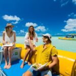 Airlie Beach: Snorkel, Hill Inlet Lookout & Whitehaven Beach - Who Is This Tour Best For?