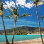 Airlie Beach: The Airlie Hopper Sightseeing Bus - Who Will Love This Tour?