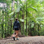 Airlie Beach: Waterfall & Bushwalk Eco Adventure Whitsundays - The Details That Matter