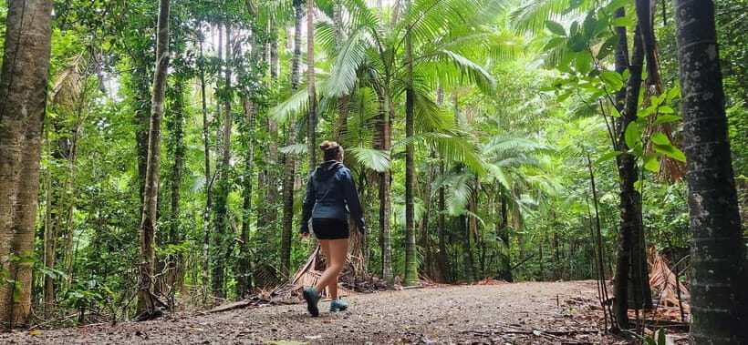 Airlie Beach: Waterfall & Bushwalk Eco Adventure Whitsundays - The Details That Matter