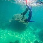 Airlie Beach: Whitehaven Beach Day Tour with Snorkel Option - Overall Value and Considerations