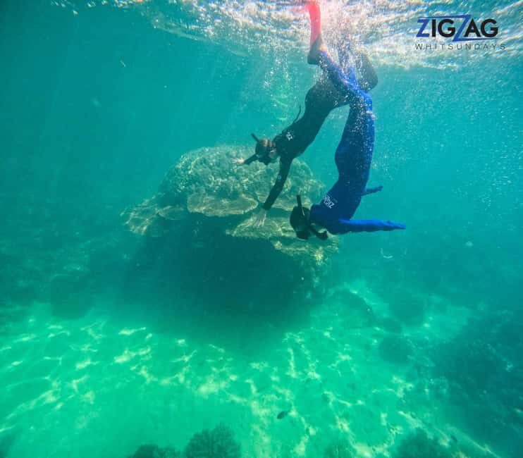 Airlie Beach: Whitehaven Beach Day Tour with Snorkel Option - Overall Value and Considerations