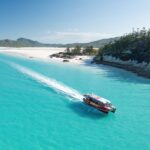 Airlie Beach: Whitehaven Full-Day Eco-Cruise with Buffet - Snorkeling Adventures: Underwater Marvels