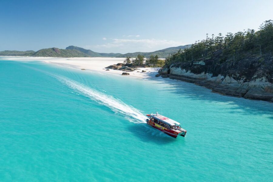 Airlie Beach: Whitehaven Full-Day Eco-Cruise with Buffet - Snorkeling Adventures: Underwater Marvels
