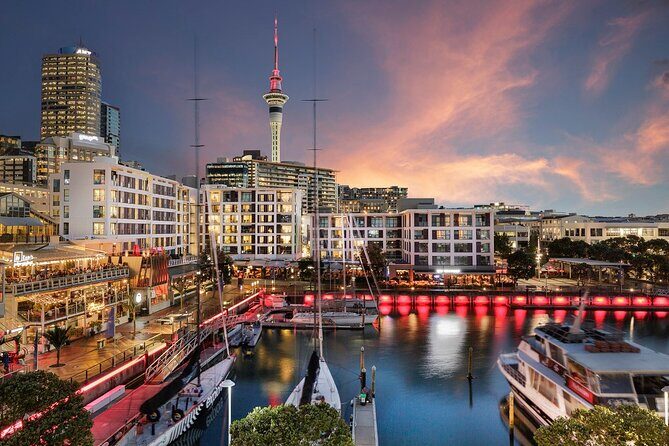 Airport Transfer: Auckland to Airport AKL by Business Car - Detailed Breakdown of the Experience