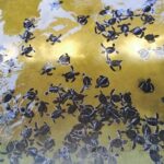 Airport Transfer by Hikkaduwa Taxi Service - Who Will This Service Suit Best?