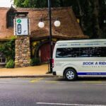Airport Transfer From Auckland Airport To Auckland City - Who Would Benefit Most From This Service?