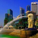 Airport Transfer: SIN Airport to Singapore by Business Car - Who Will Benefit Most?