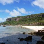 Airport Transfers from Hotel to Fua'amotu Int'l and Dom Airport - Group Size and Booking Details