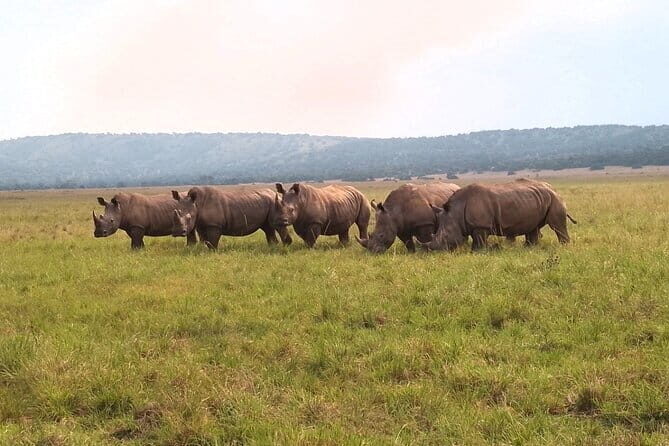 Akagera Safari Ride Share 1 Day Adventure - The Sum Up: Is It Worth It?