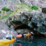 Akaroa: Akaroa Marine Reserve Sea Kayaking Tour - The Itinerary Breakdown: What You Can Expect