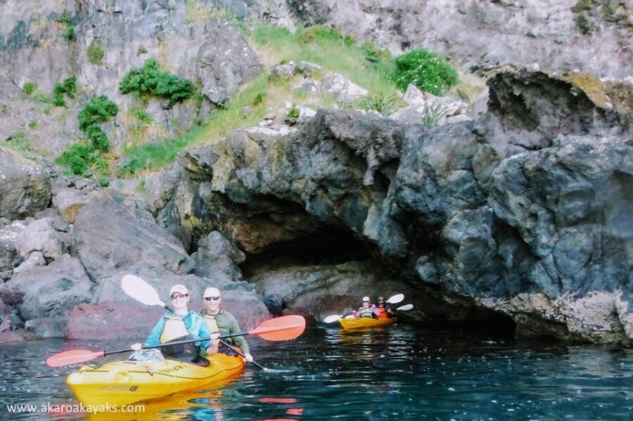 Akaroa: Akaroa Marine Reserve Sea Kayaking Tour - The Itinerary Breakdown: What You Can Expect