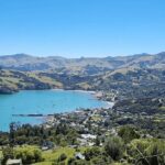 Akaroa and Akaroa Dolphins Day Tour - Alpaca Encounters at Shamarra Alpacas