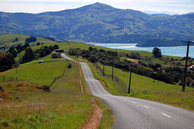 Akaroa & Banks Peninsula tour from Lyttelton (Shore Excursion) - The Itinerary: From Lyttelton to Akaroa and Beyond