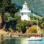 Akaroa Day Tour from christchurch Return - Authentic Traveler Insights
