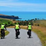 Akaroa: Electric Mountain Bike and Sea Kayak Adventure - The Marine Sanctuary: Wildlife and Scenery