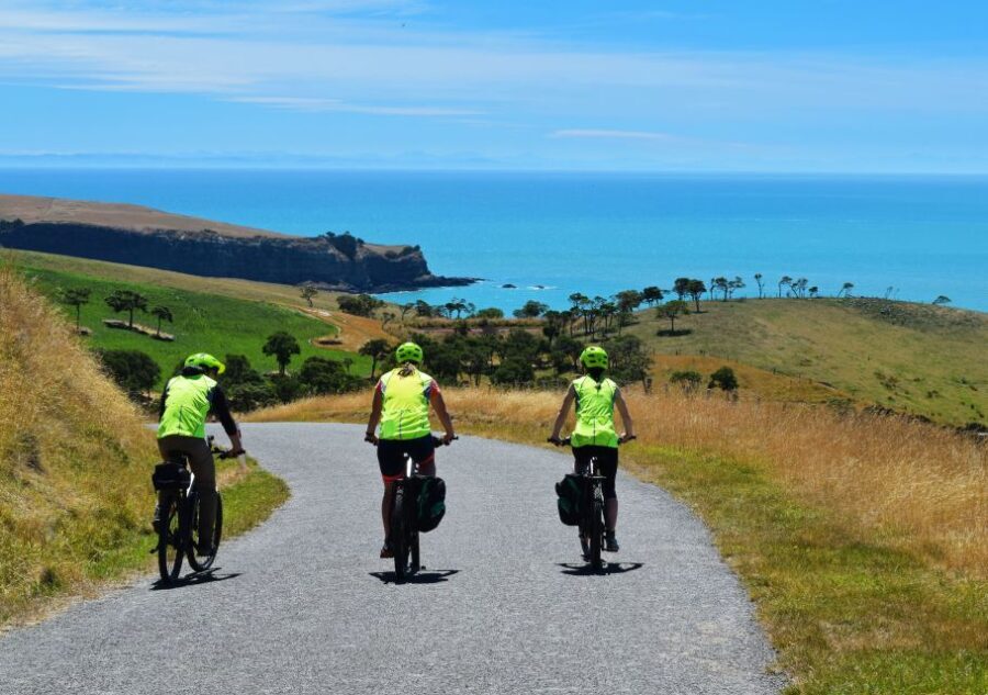 Akaroa: Electric Mountain Bike and Sea Kayak Adventure - The Marine Sanctuary: Wildlife and Scenery