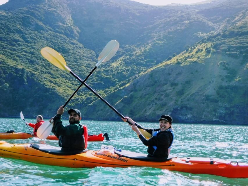 Akaroa: Guided Sunrise Sea Kayaking Tour - Why This Tour Stands Out