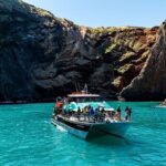Akaroa Harbour Nature Cruise - The Value & Practical Aspects