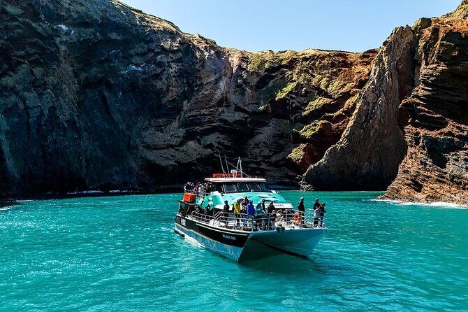 Akaroa Harbour Nature Cruise - The Value & Practical Aspects