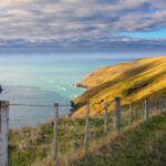 Akaroa: Pohatu Little Penguins 3-Hour Evening Experience - An In-Depth Look at the Experience