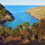 Akaroa: Pohatu Penguins Scenic Nature 2-Hour or 4-Hour Tour - The Balance: Pros and Considerations