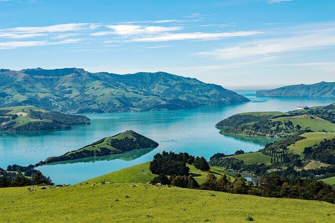 Akaroa Private Day Tour From Christchurch (Carbon Neutral) - Key Points