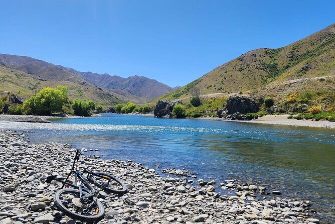 Akaroa Private Group Day Trip from Christchurch - The Transportation Experience