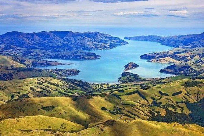 Akaroa Shore Excursion: Akaroa Harbour and Sheep Farm Local Tour - The Experience: What You Can Expect