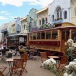 Akaroa Shore Excursion: Banks Peninsula and Christchurch City Sights Tour - What Makes This Tour Stand Out?