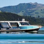 Akaroa Swim with Dolphins Tour from Christchurch - Evaluating the Cost: Is It Worth It?