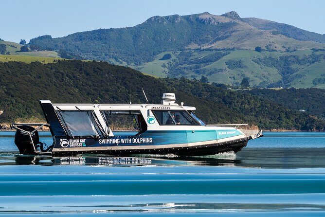 Akaroa Swim with Dolphins Tour from Christchurch - Evaluating the Cost: Is It Worth It?
