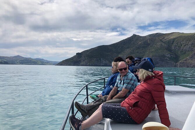 Akaroa Wildlife Cruise - The Experience: What Travelers Can Expect