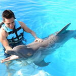 Akumal: Dolphin Encounter - What’s Included and What’s Not?