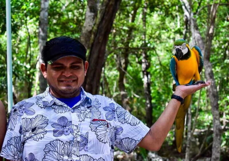 Akumal: Explore the Monkey Sanctuary, ATV Circuit and Cenote - The Monkey Sanctuary: An Educational Wildlife Encounter