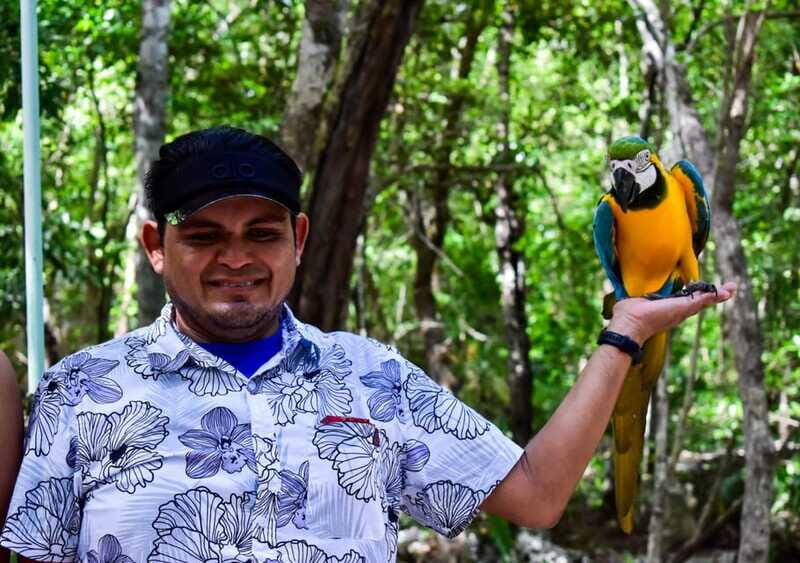 Akumal: Explore the Monkey Sanctuary, ATV Circuit and Cenote - The Monkey Sanctuary: An Educational Wildlife Encounter